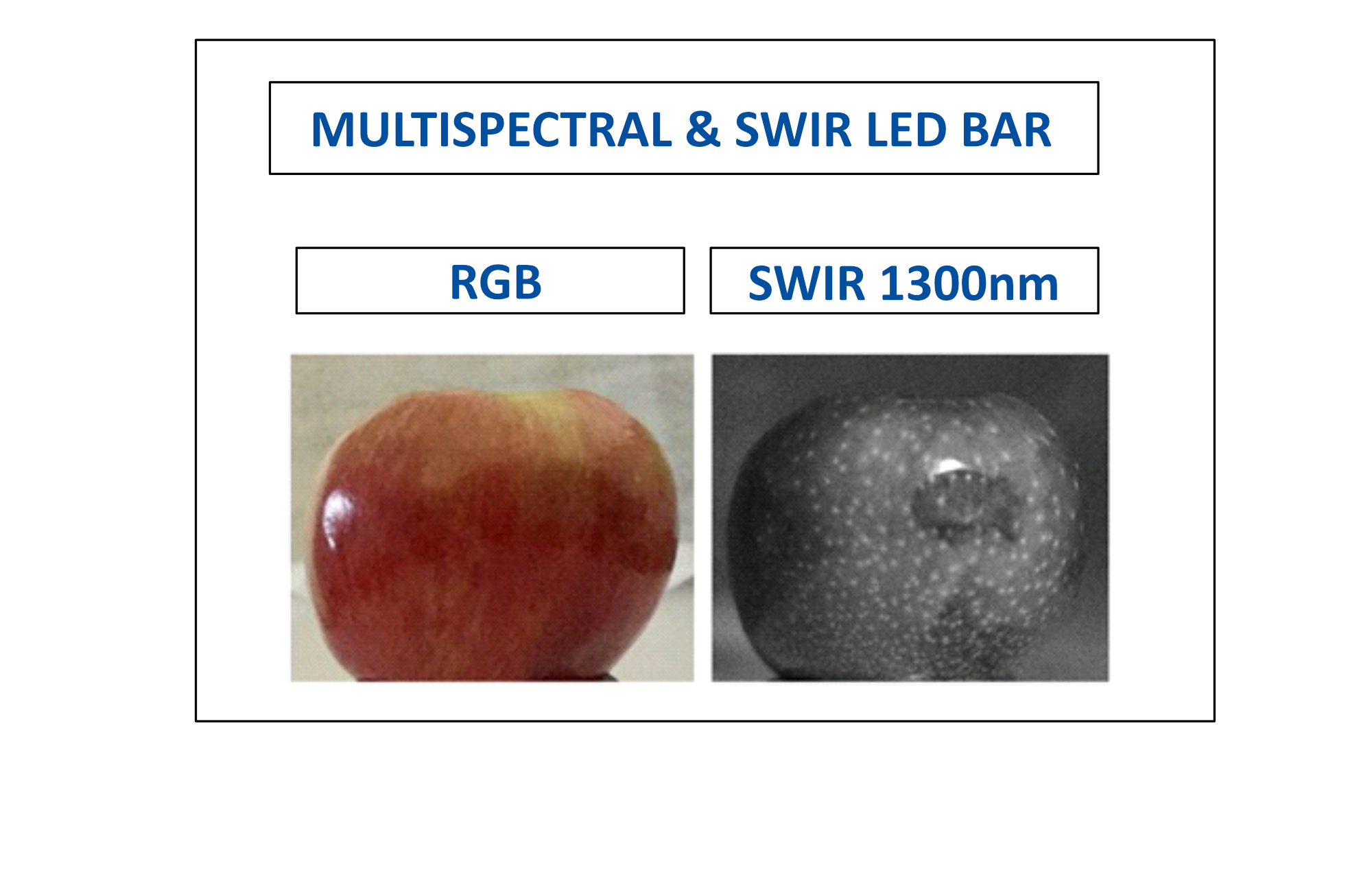 Multispectral SWIR led bar for SWIR CAMERA – Genesi Elettronica